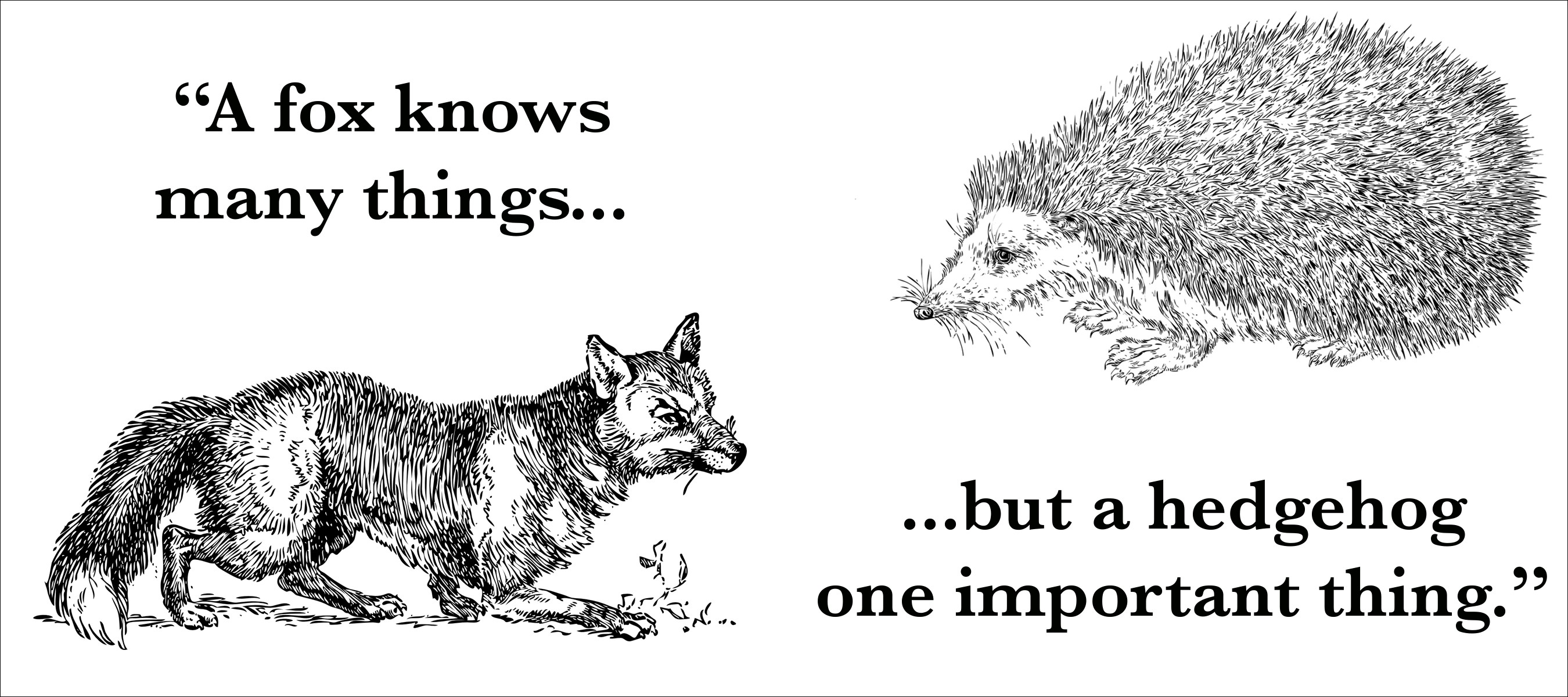 Are you a fox or a hedgehog? – Maverick