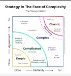 The Stacey Matrix – Maverick